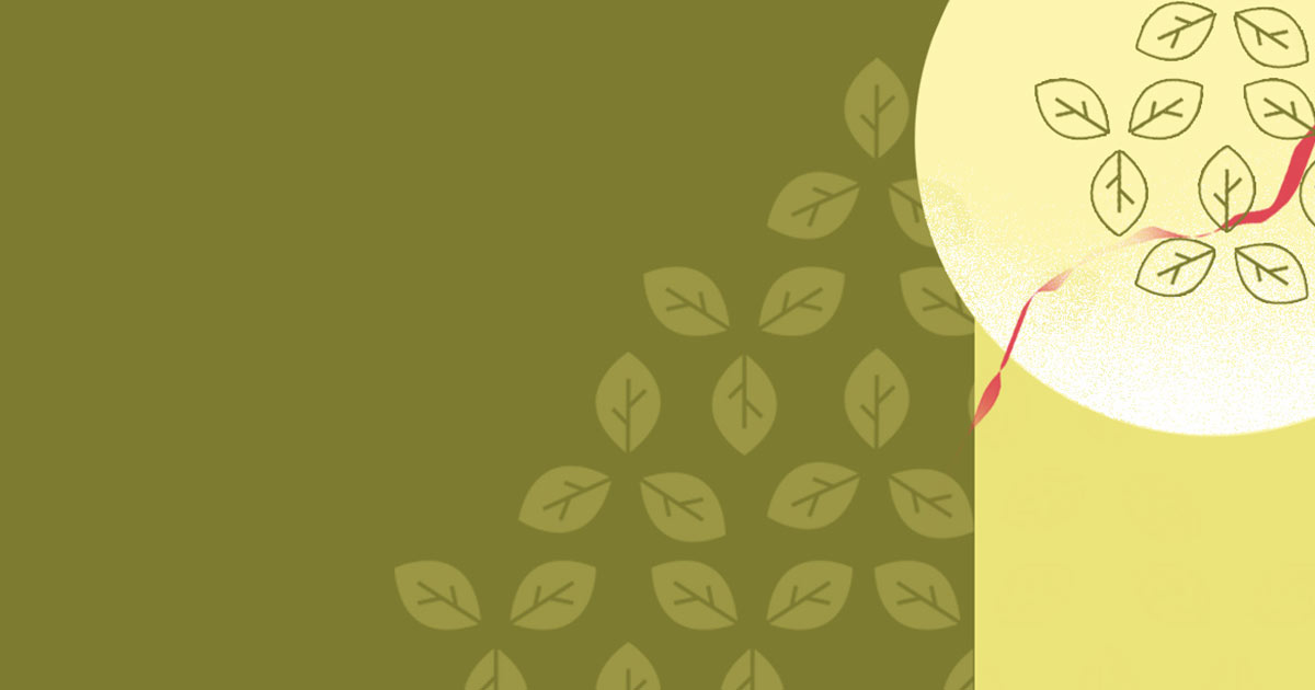 Contact Us | Sanjeewanie Ayurveda